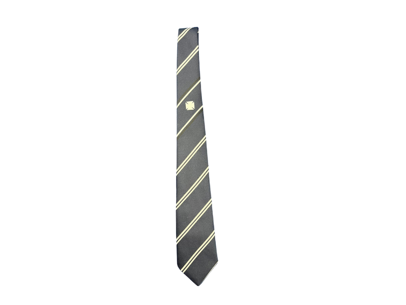 Methodist College Belfast House Tie – Gotto Sports Belfast